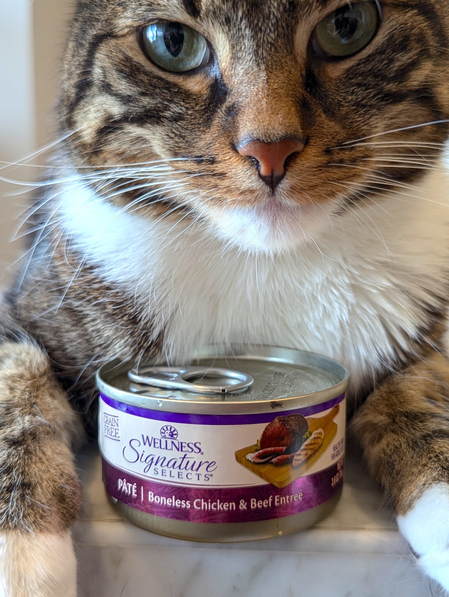 Wellness Signature Selects Chicken & Beef Entrée Review (2025)